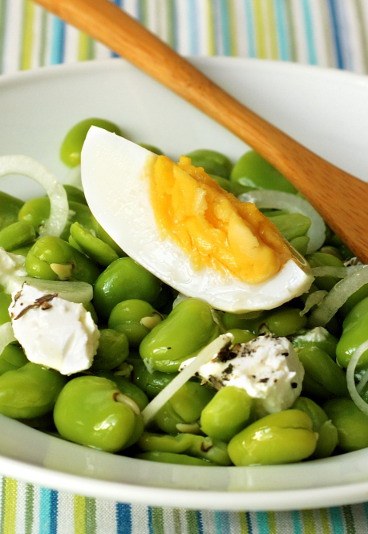 Fèves fraîches en salade | AMAP Bio Devant - Courbevoie